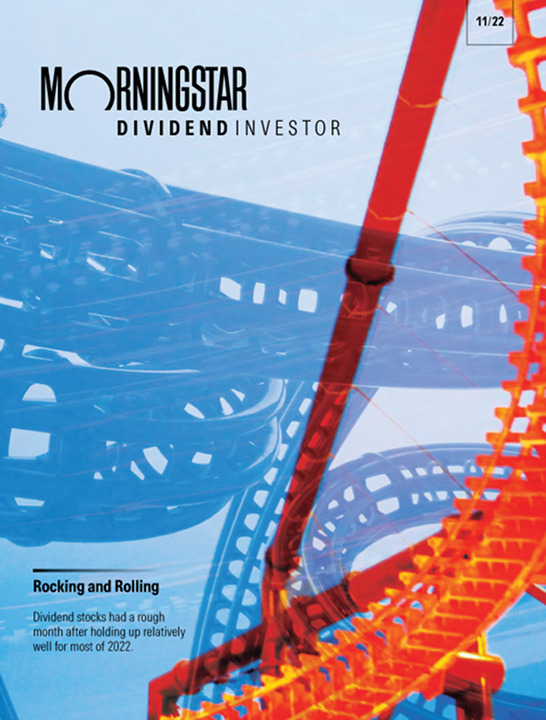 Morningstar DividendInvestor Image